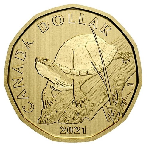 🇨🇦 Rare Canada $1 Dollar Coin Loonie, Fauna, BLANDING'S TURTLE Mint UNC ...