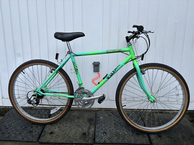 The cockroaches' lizard | Retrobike