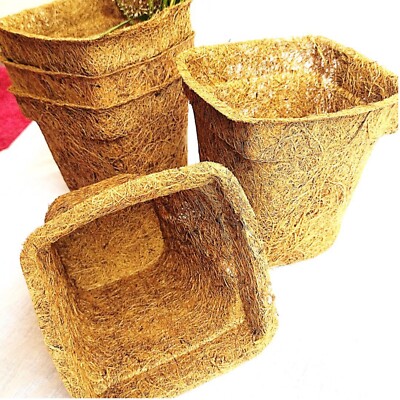 5 Coconut husk coir Plant pot Bonsai Flower Succulent Planter Pots ...