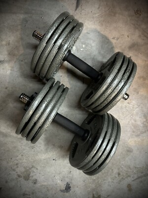 Adjustable Dumbbells 80 lbs TW Weight Set 40 lb each Dumbbell Gym ...