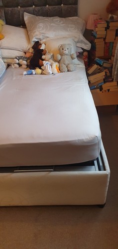 Single Adjustable Electric Bed for Disability/Mobility with Mattress ...