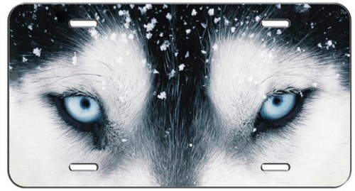 LICENSE PLATE WOLF EYES AUTO TAG | eBay