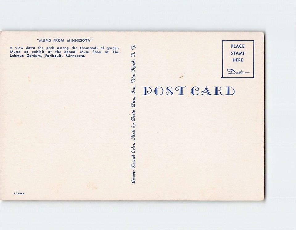 Postcard Garden of Mums Lehman Gardens Faribault Minnesota USA | eBay UK