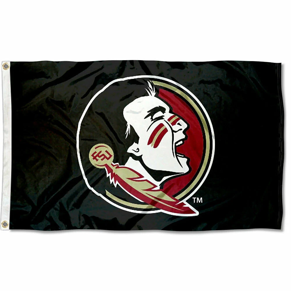 Fsu New Logo