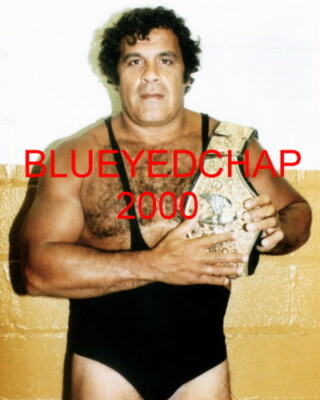 ANGELO MOSCA WRESTLER 8 X 10 WRESTLING PHOTO NWA WWF | eBay