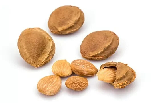 Premium Bitter Apricot Kernels /raw/organic/sun dried/ apricot seeds | eBay