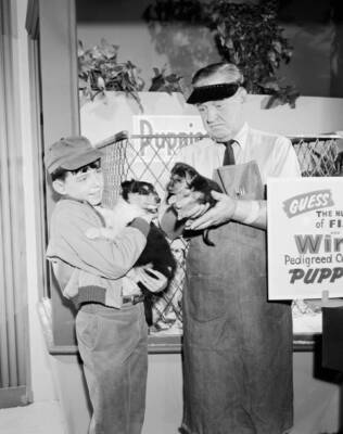 Jerry Mathers, Jess Kirkpatrick On Leave It To Beaver 1960S Old Tv ...