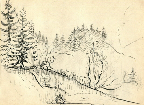 Vintage Ink Original Drawing Mountain Trees Landscape, Forest | eBay