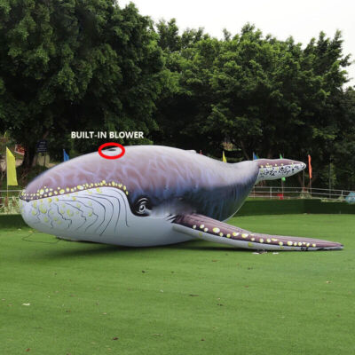 Giant Inflatable Whale Inflatable Orca Sale Humpback Whale Toys for ...