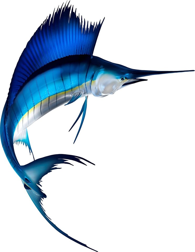 Sail Fish Vinyl Sticker Fish Decals for Boat Car Vehicle Truck Fishing ...