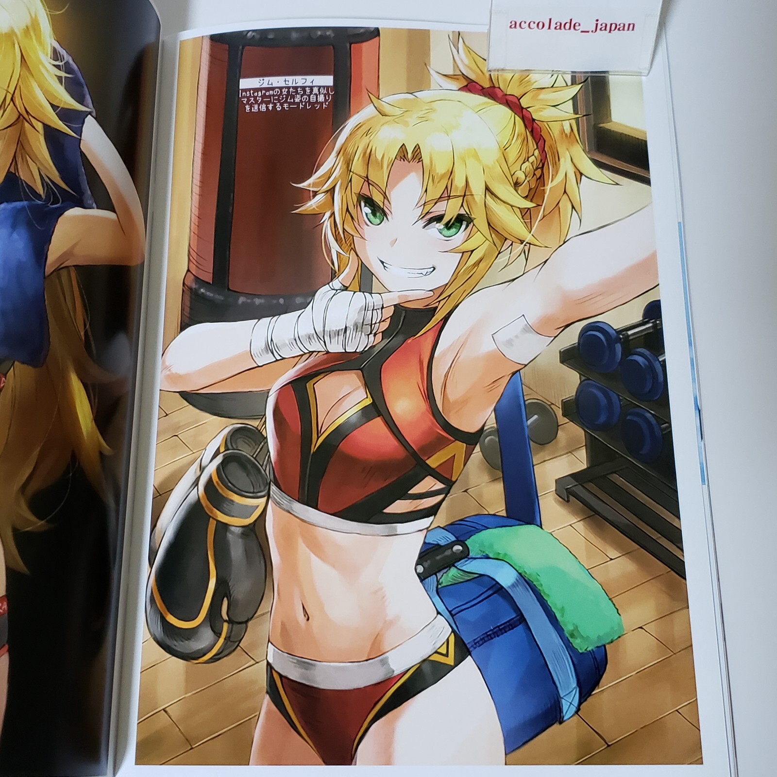 Mordred Collection Vol.1 to 3 Fate/Grand Order Art Book NEET ACADEMIA Tonee | eBay