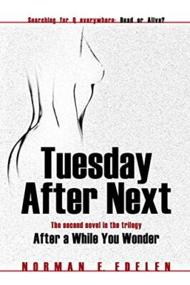 Tuesday After Next: The second novel in the trilogy After a While You ...