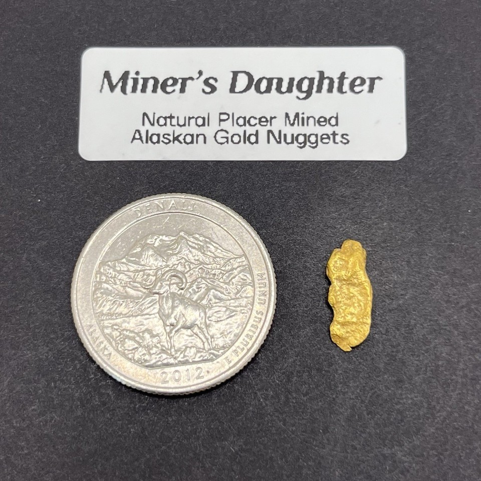 ALASKA GOLD NUGGETS - ONE (1) - 0.8 GRAMS Total - Natural Placer Hi ...