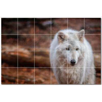 Wolf Ceramic Tile Wall Mural PT501242. 48" W x 32" H (24) 8x8 tiles | eBay
