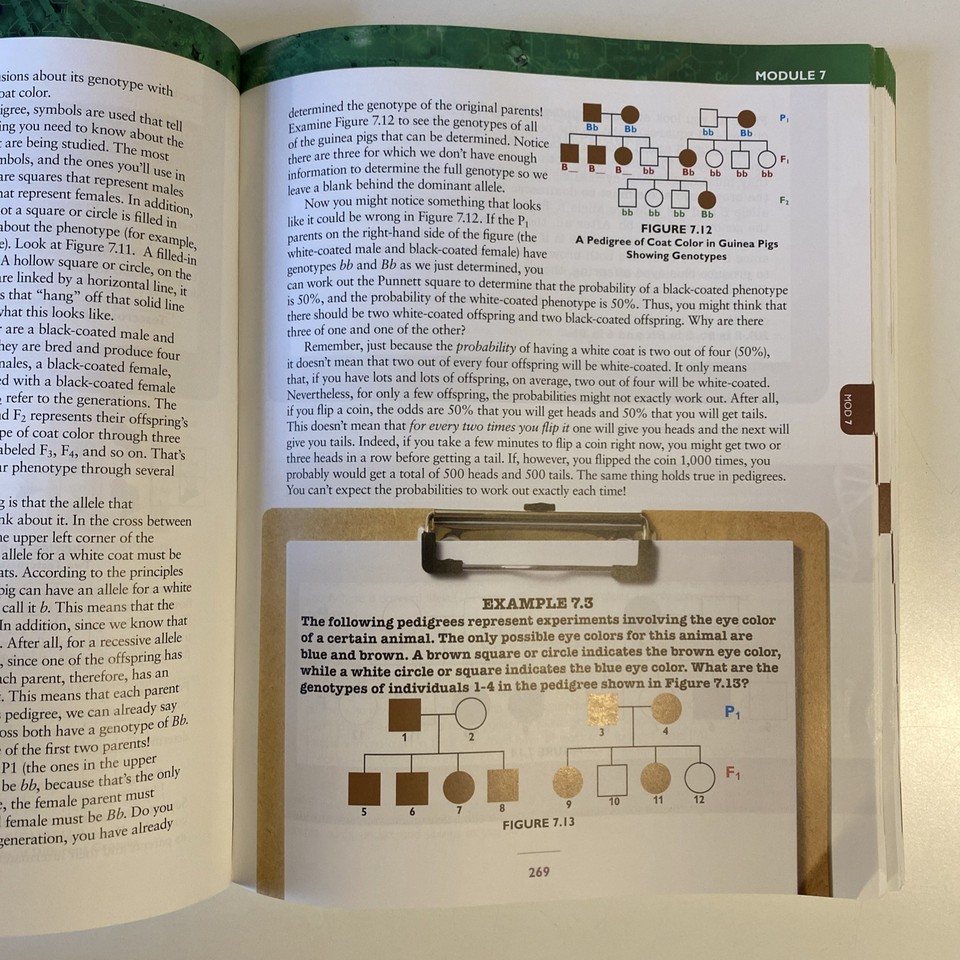 # Apologia Exploring Creation with Biology 3rd Edition By Vicki Dincher ...