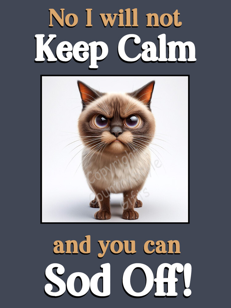 funny grumpy cat sod off gift fridge magnet black white tabby ginger siamese cat | eBay