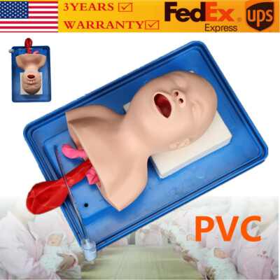 Training & Manikins - Airway Management
