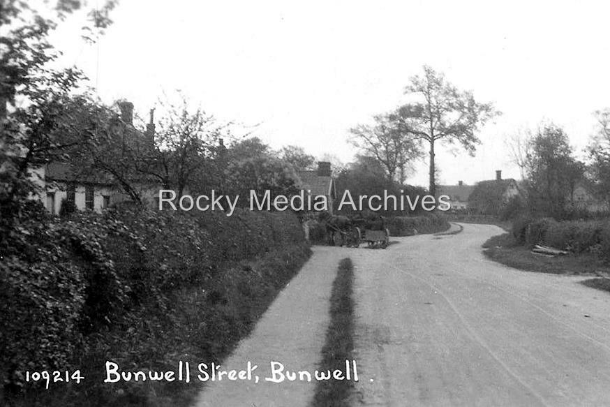 Fcx-78 Horse and Cart, Bunwell Street, Bunwell, Norfolk. Photo | eBay