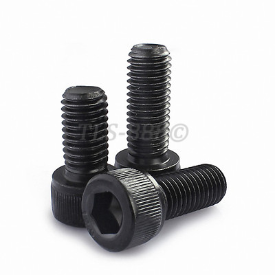 High Tensile 12.9 Fine Thread Socket Head Cap Screws Allen Bolts M6 M8 ...