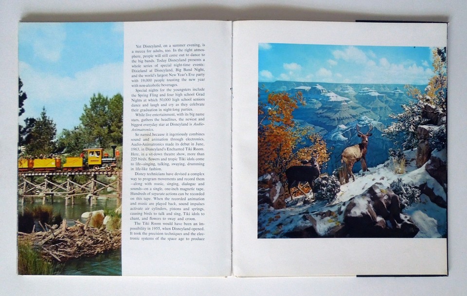 Walt Disney's Disneyland - Martin A. Sklar, 1965 hc | eBay