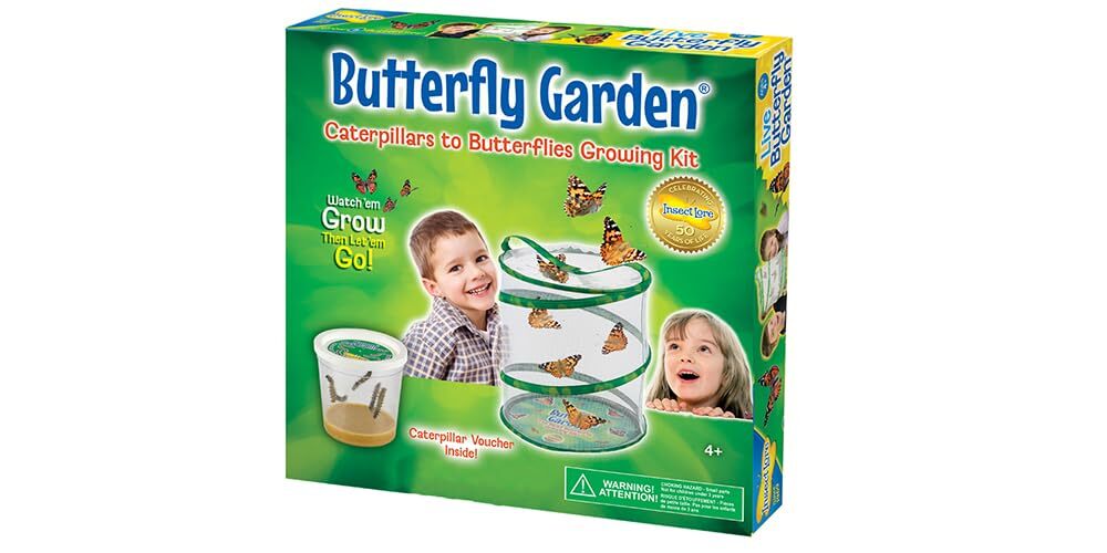 Butterfly Hatching Kit