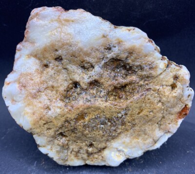 Fossilized Indiana Geode Quartz Crystal Open Face 1 Lb Agate crinoid ...