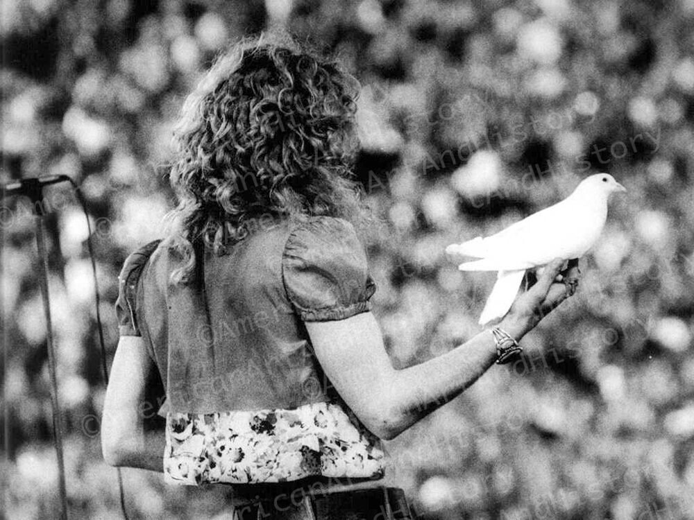 Robert Plant with Dove San Francisco 1973 Led Zeppelin Photo Print ...