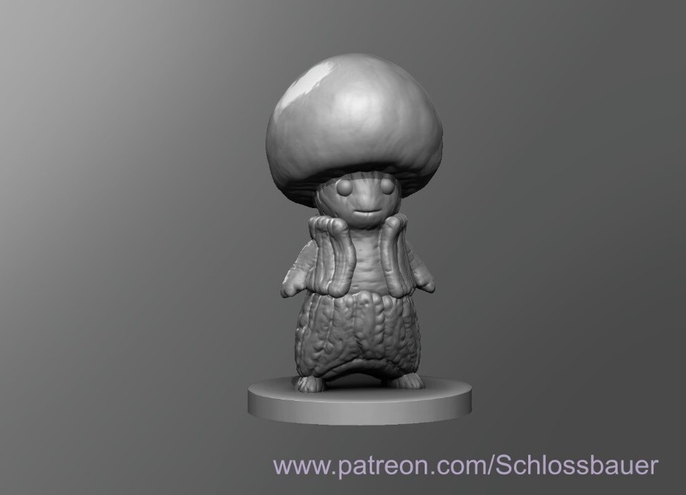 Toad Fighter Warrior Barbarian 28mm Scale DND D&D Mario Tabletop ...