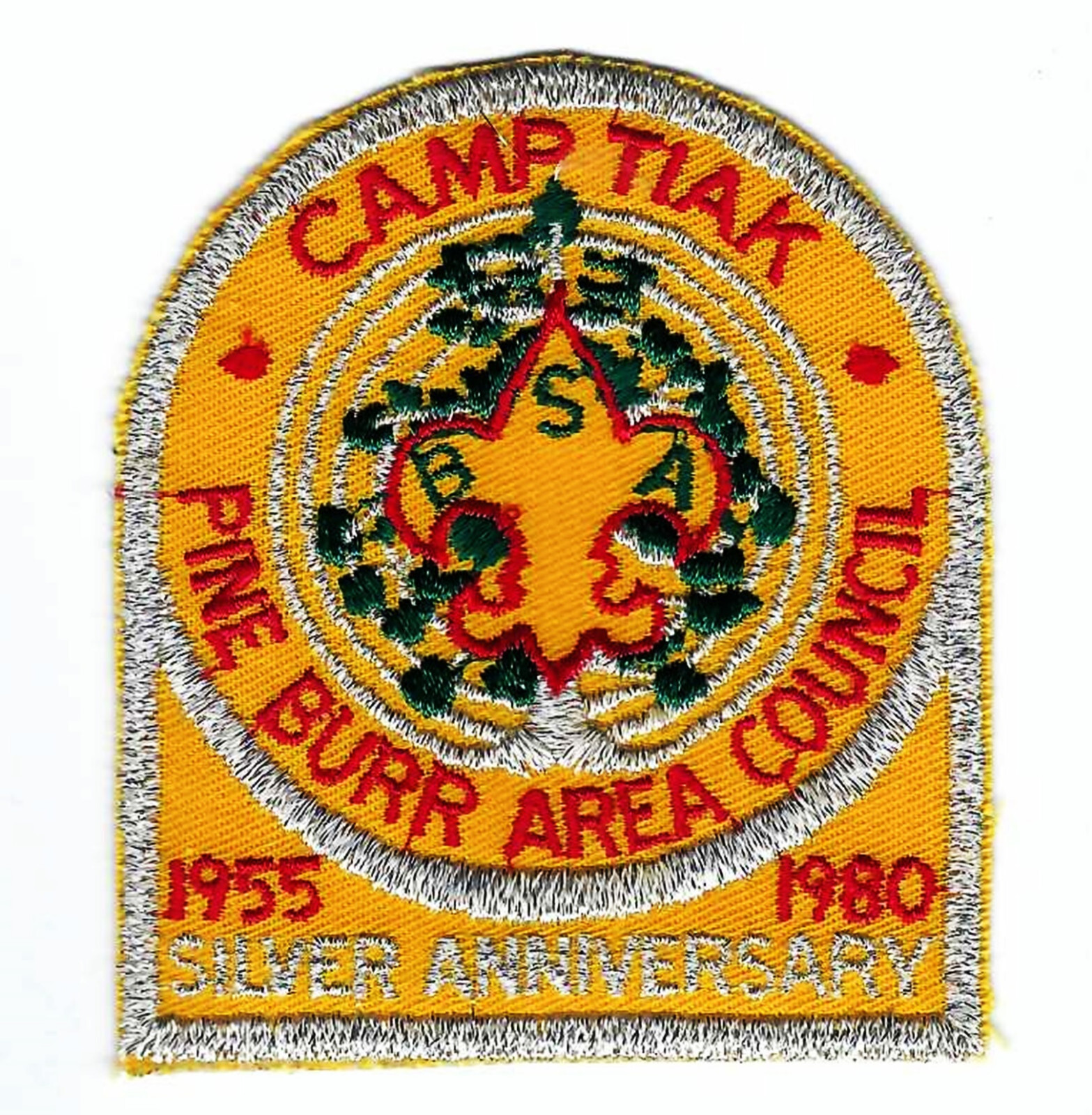BOY SCOUT CAMP TIAK 25TH ANNIV PP PINE BURR CNCL MISS | eBay