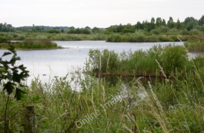 Photo 6x4 Lake north of Chain Bridge Lane Hayton/SK7284 Another lake in ...