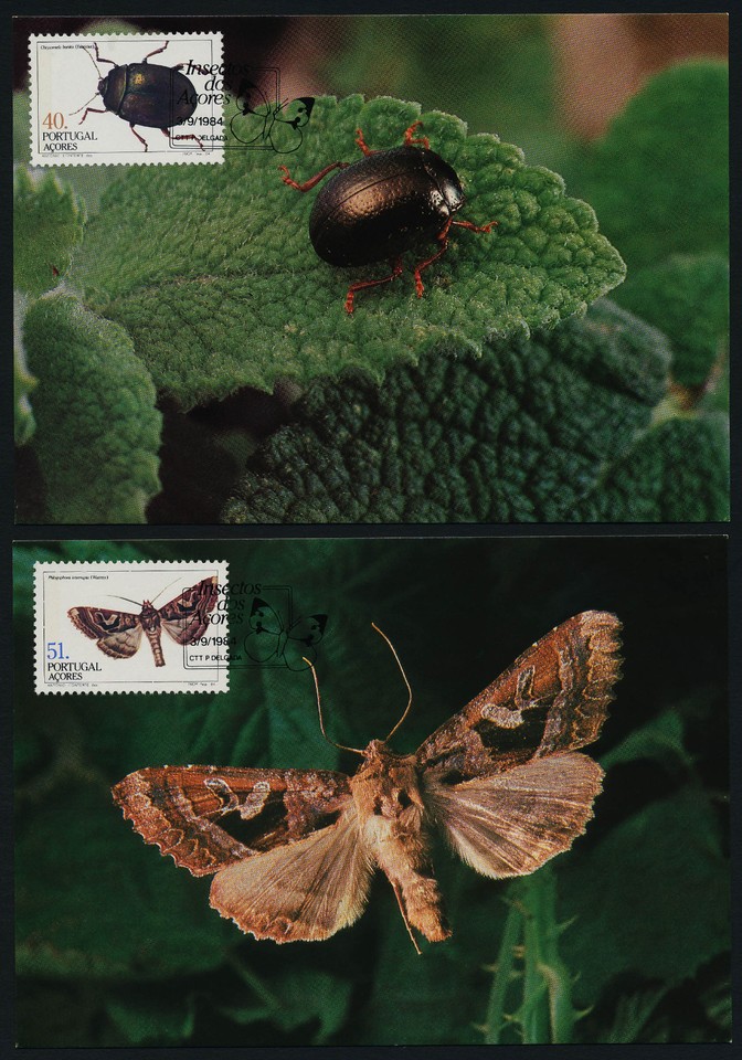 Portugal - Azores 345-8 on Maxi Cards - Insects, Bee, Butterfly, Beetle ...