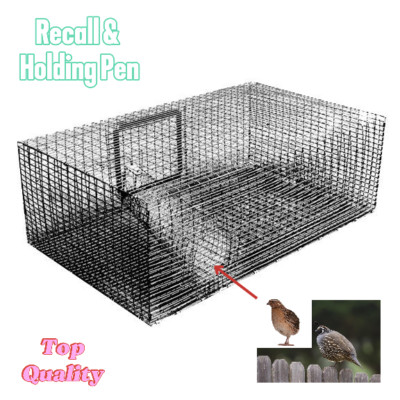 new best Quail Recall & Holding Pen heavy gauge galvanized wire for ...