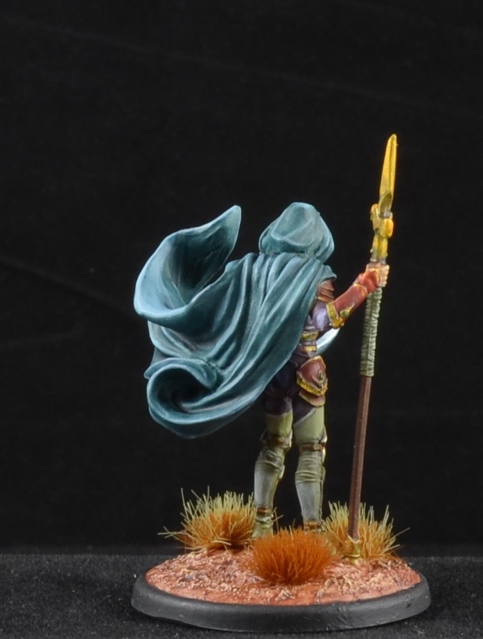 Painted Female Undead Hunter from Dark Sword Miniatures, D&D character ...