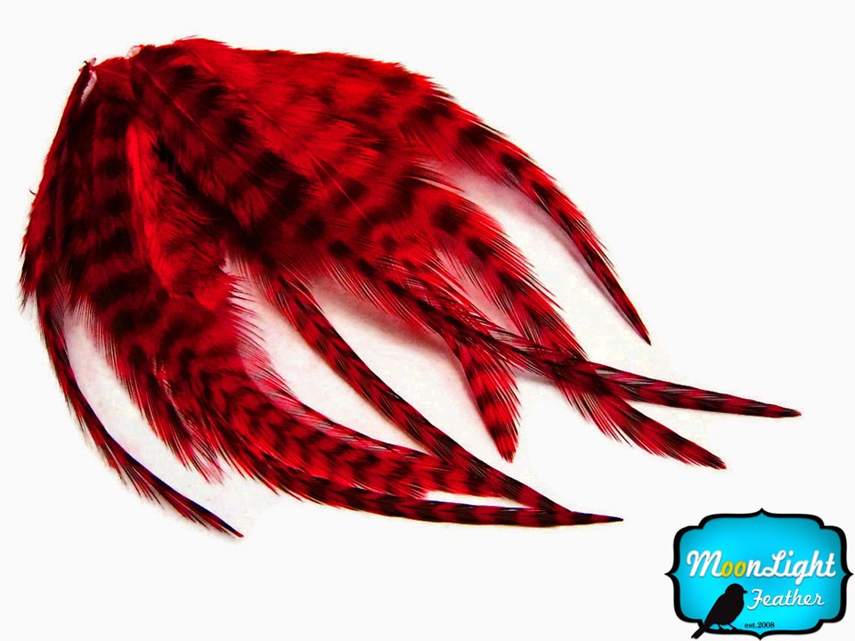 1 Dozen - SHORT RED Grizzly Rooster Hair Extension Feathers | eBay