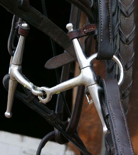 Hy Equestrian Fulmer Loops Leather Bit Keepers for Full Cheek Bits ...