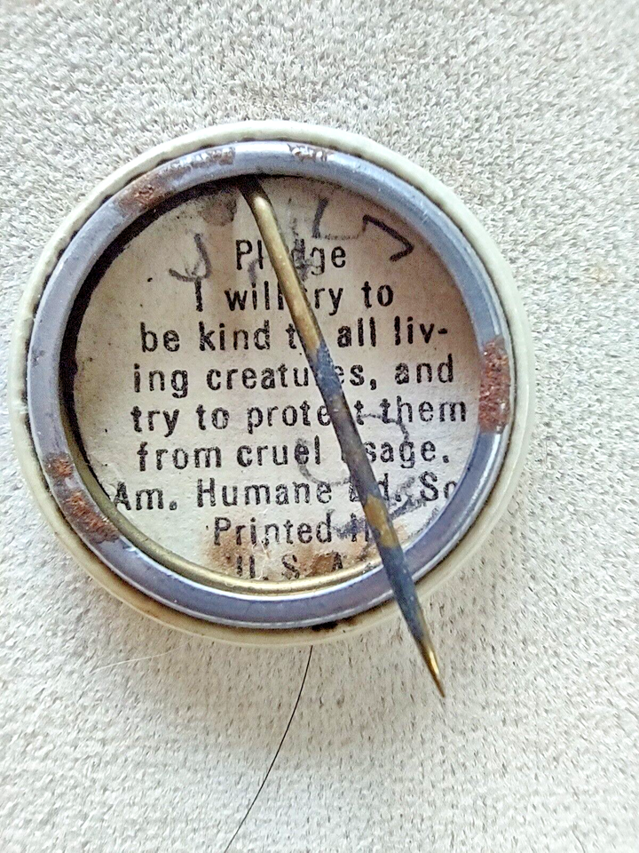 Antique Celluloid Be Kind to Animals Band of Mercy Pledge Pin Back ...