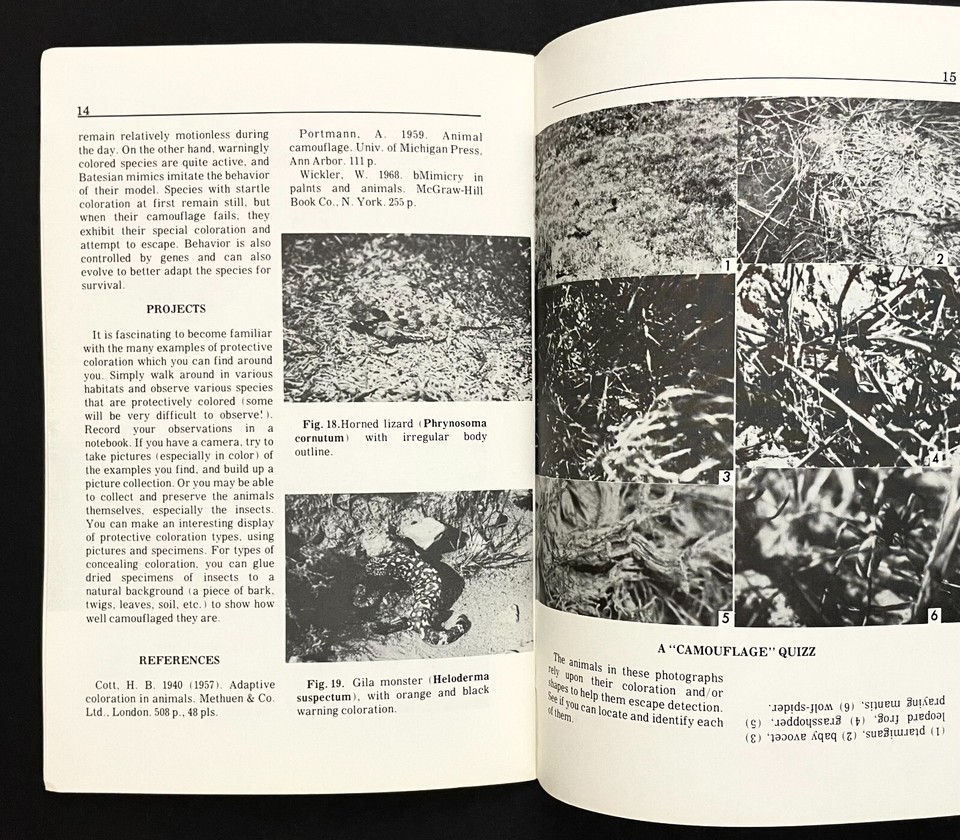 1974 Protective Coloration Animals Kansas School Naturalist Vintage ...