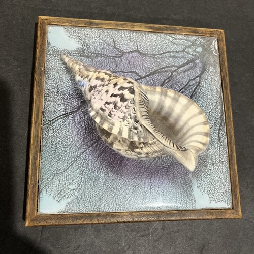 Seashell Wall Art Tile Plaque Shell Coastal Beach Decor Wood Frame ...
