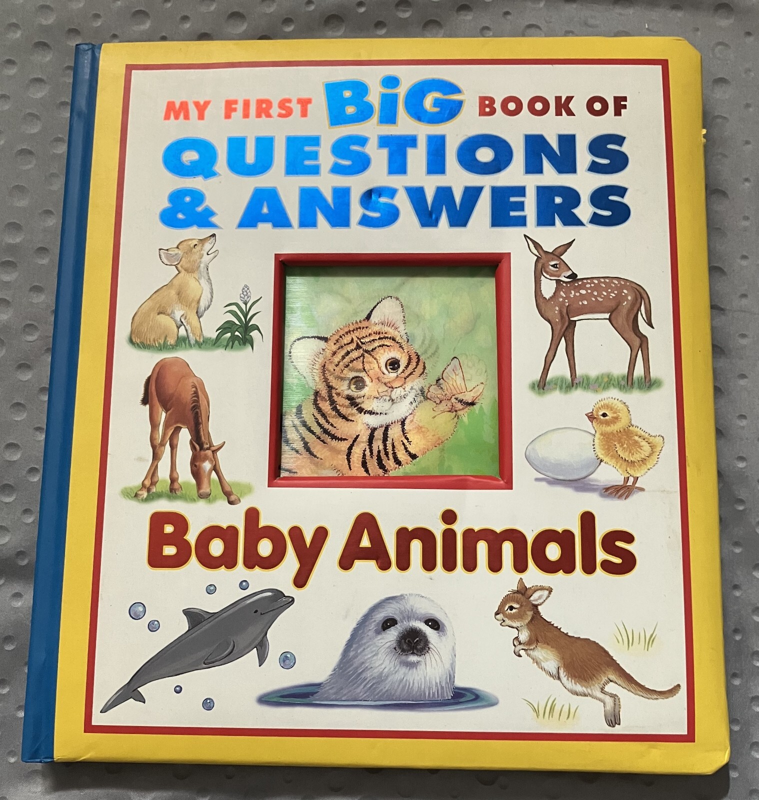MY FIRST BIG BOOK OF QUESTIONS AND ANSWERS BABY ANIMALS By Lora Kalkman ...
