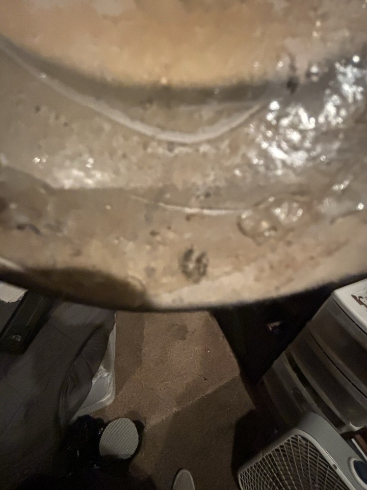 Graffix Jester Bong | eBay