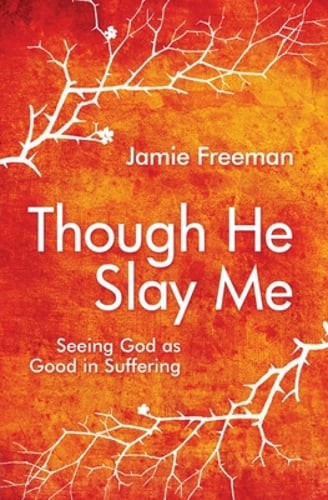 Though He Slay Me: Seeing God as Good in Suffering by Jamie Freeman ...