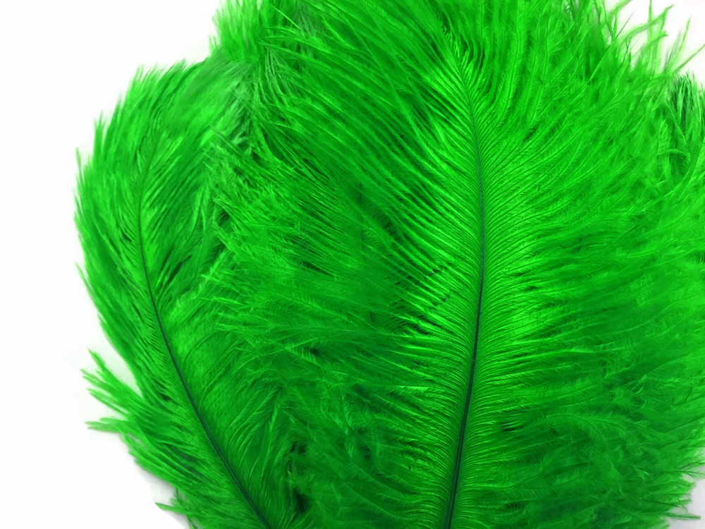 10 Pieces - 8-10" Kelly Green Ostrich Dyed Drabs Feathers Halloween ...