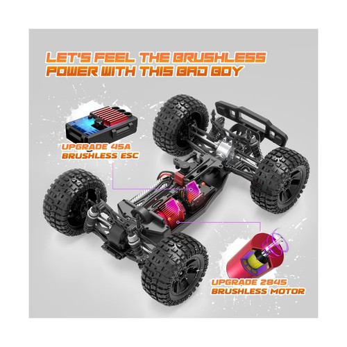 DEERC 200E Large Brushless High Speed RC Cars for Adults, 2 Car Shells ...