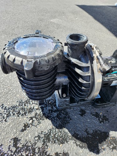 Sta Rite MAX E PRO 1.5 HP | eBay