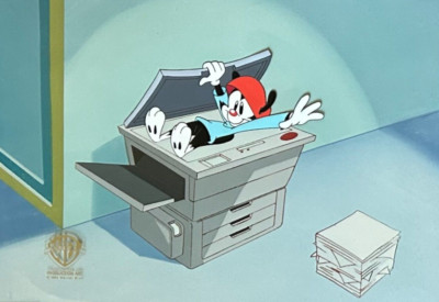 WAKKO rare ANIMANIACS cel B24 Temporary Insanity WB COA CC | eBay