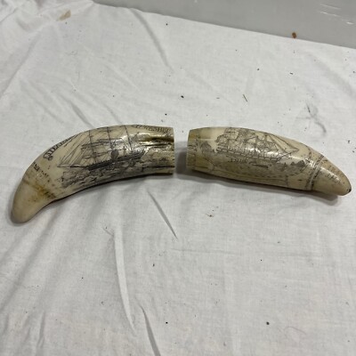 Scrimshaws - Whale Tooth Carving