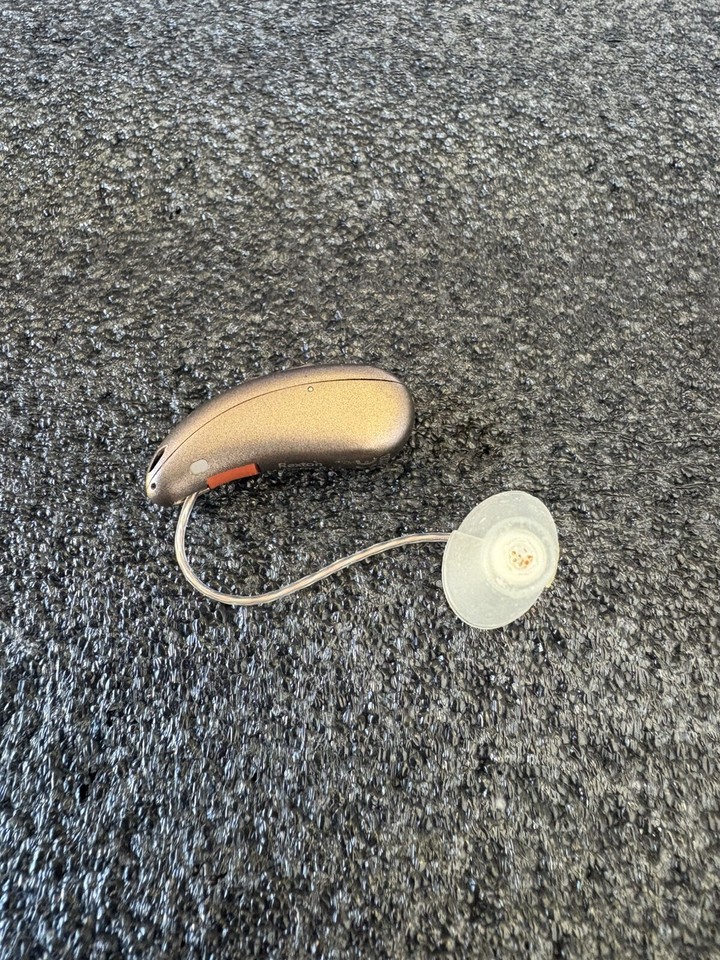 Rexton M-Core R-LI hearing aid With Connexx Charging Case Untested | eBay