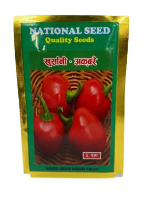 Nepali Akabare Chilly Seeds, Akabare Khursani, 5 gms, UK STOCK, FREE ...