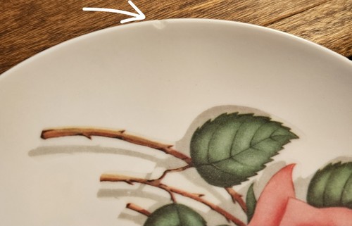 Vintage 16pc. Set of 1950's Royalon Melmac Plates with Rose Pattern | eBay