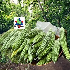 Pinoy Heirloom Seeds | eBay Stores